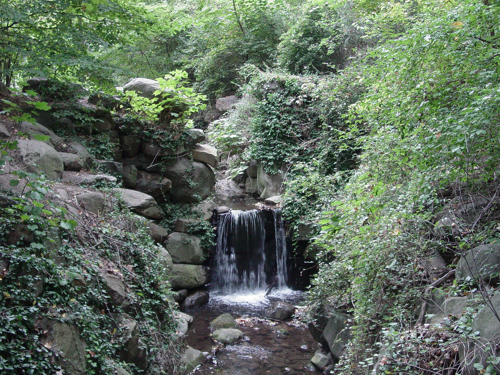 Discover the Prospect Park Ravine – Slow Nature Fast City