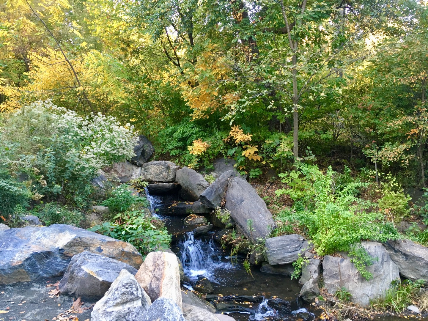 Slow Nature Fast City | A beginner's guide to noticing and exploring ...