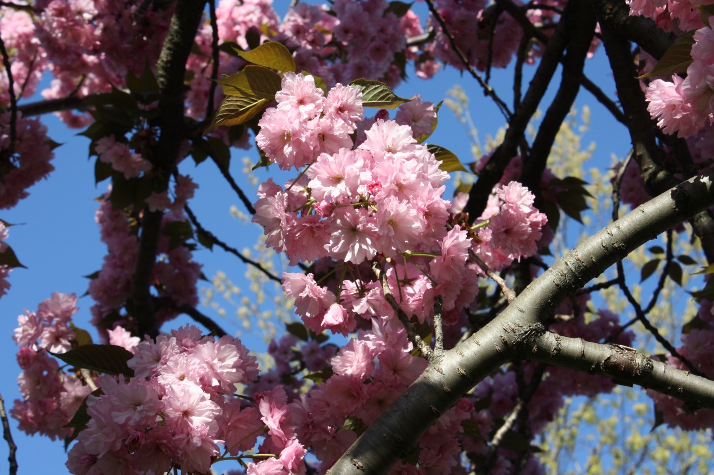 Slow Nature Fast City | A beginner's guide to noticing and exploring ...